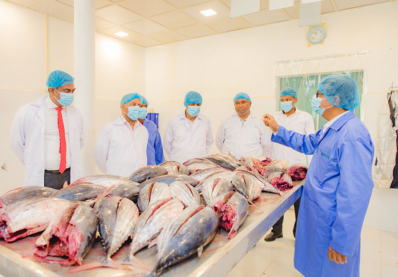 Maldivian Fish Exporters Gains Competitive Edge in US Market as US ...